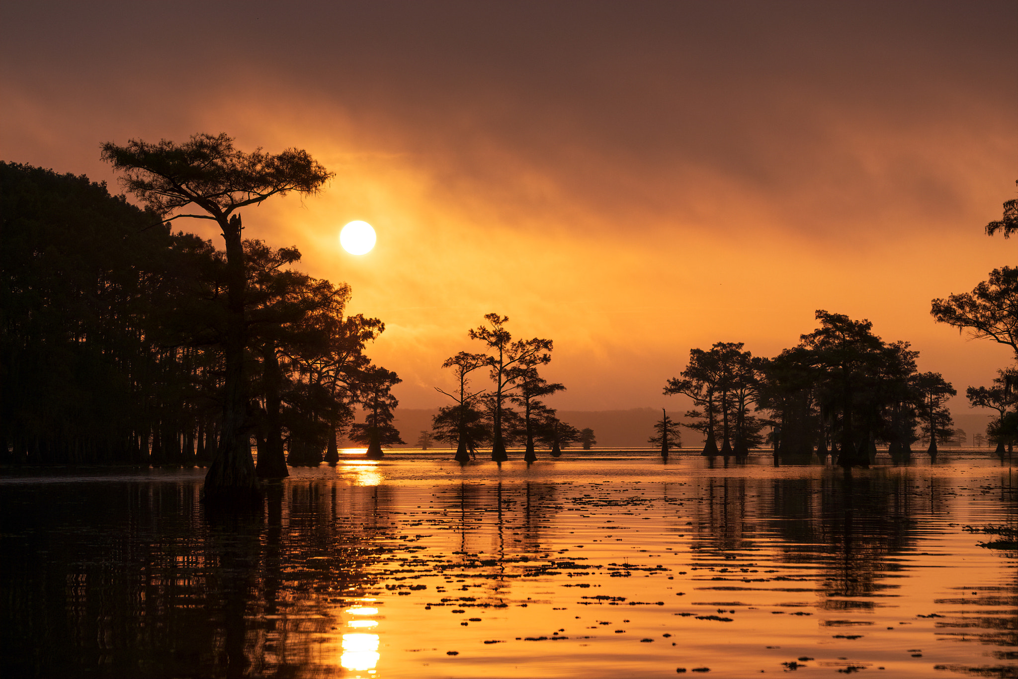Caddo Lake Cypress Trees at Sunrise by Andrea Garza / 500px