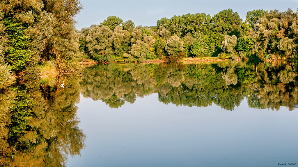 Reflection by ewald seibel / 500px
