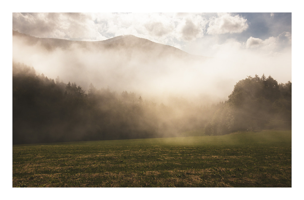 Light in a fog by Petr Fojt / 500px