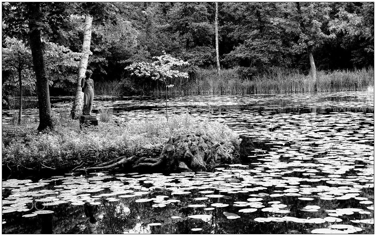 The Pond by Leif Nordberg / 500px