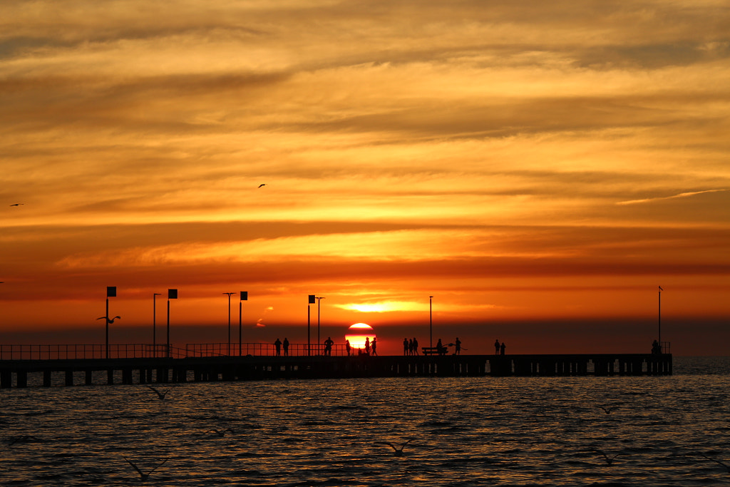 Evening Joy! by Bruce Prothero / 500px