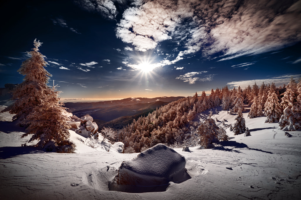 Sunny morning by Robert Didierjean / 500px