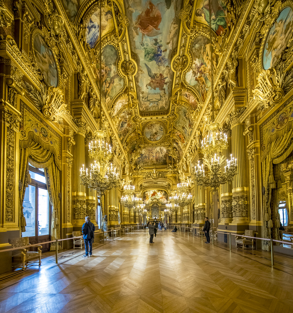 The fascination of being surrounded by Gold by Sam SDFMEDIA / 500px