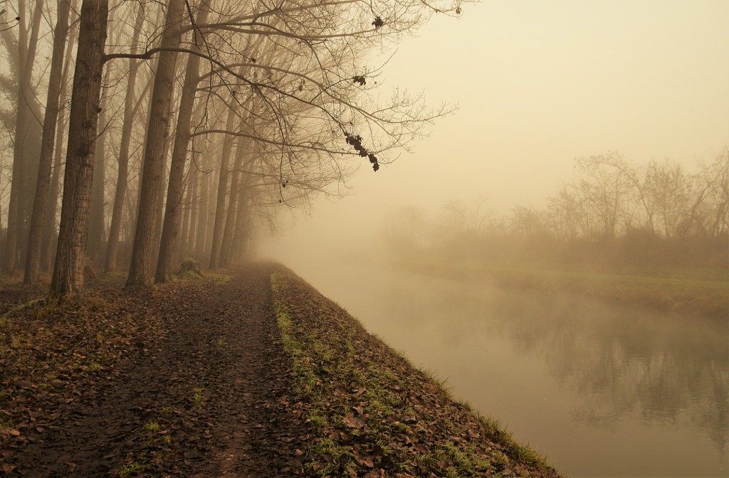 in the fog by Carlotta Ricci / 500px