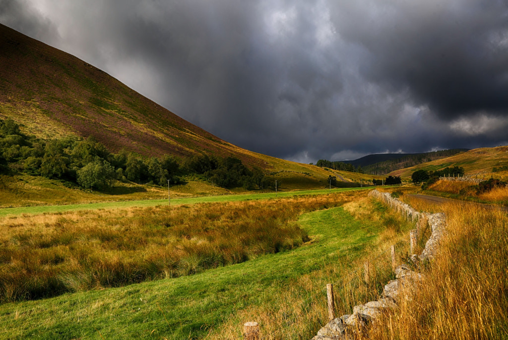 MOODY DAY by Hilda Murray / 500px