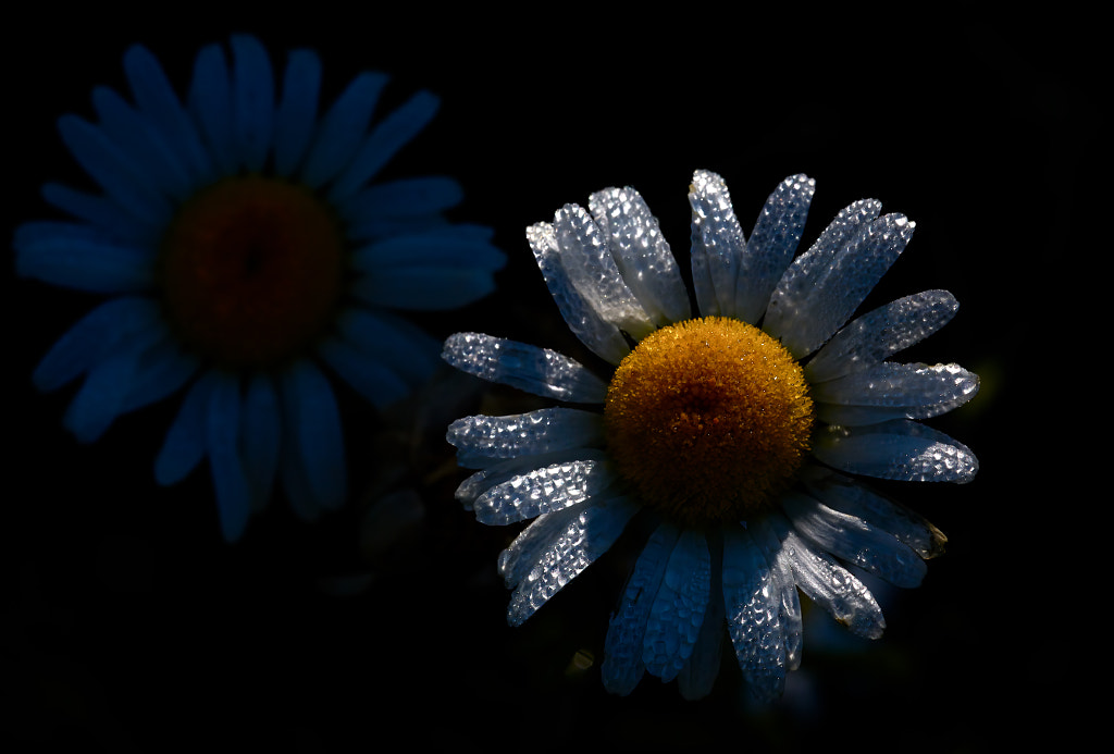 After a rain. by Attila Michael Zsaki / 500px