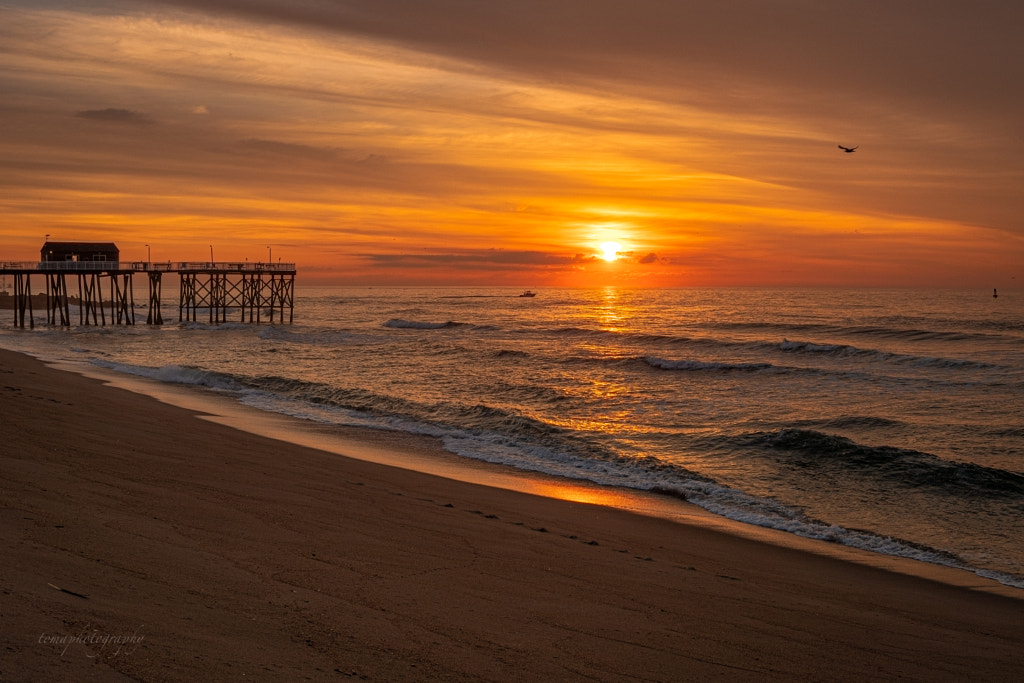 A hazy summer morning by Toma Photography / 500px