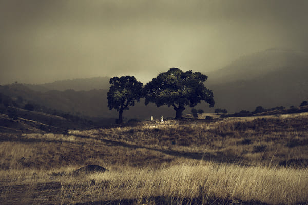 Samal Tofik (samaltofik) Profile / 500px