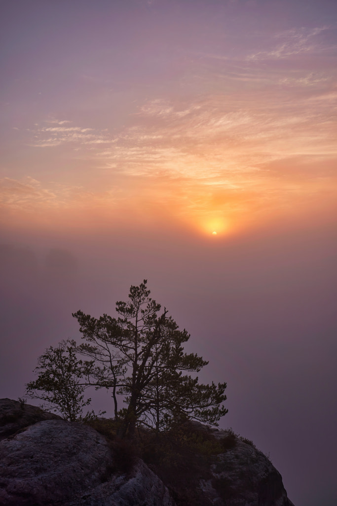 Sächsische Schweiz by Robert Edlich / 500px