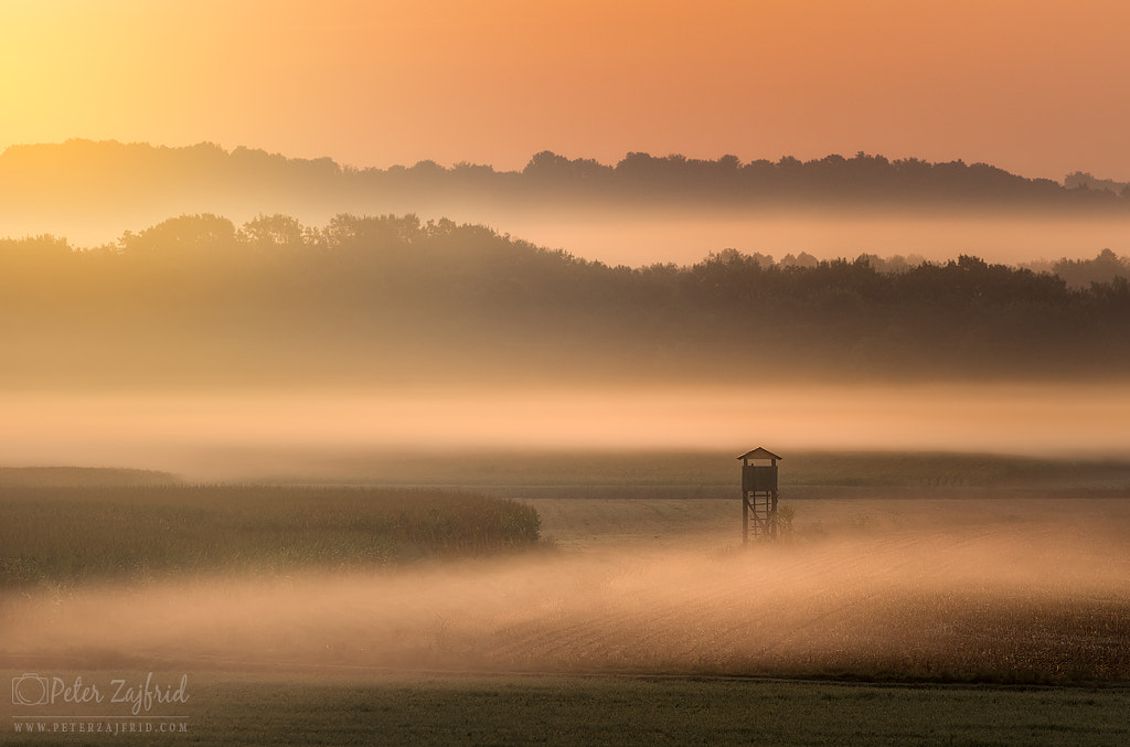 Hidden in fog by Peter Zajfrid / 500px