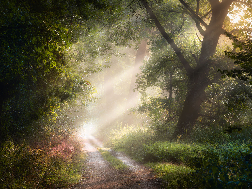 morning walk 7035 by Hans Zitzler / 500px