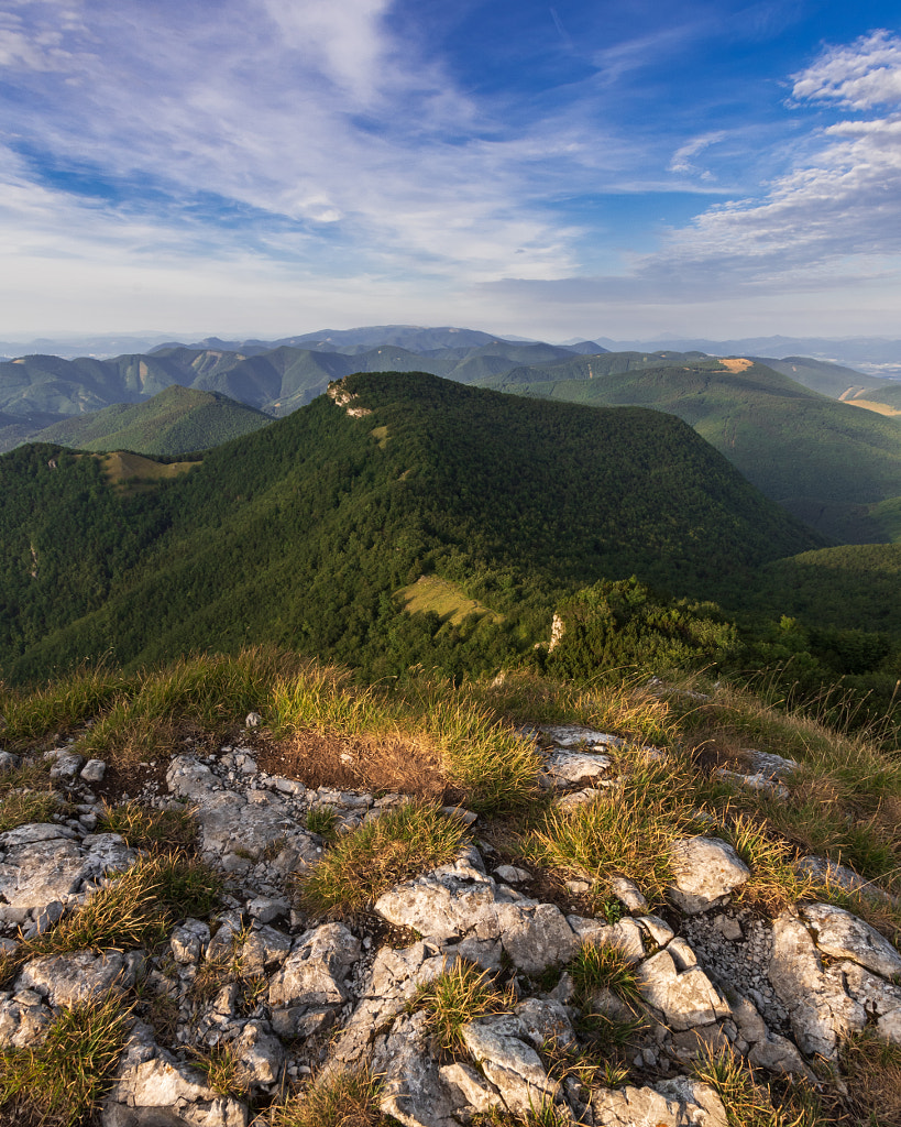 Summer Carpathians by Marek Wojnar / 500px