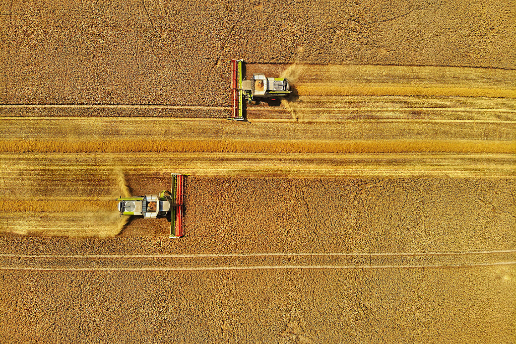 Summer by Perry Wunderlich / 500px