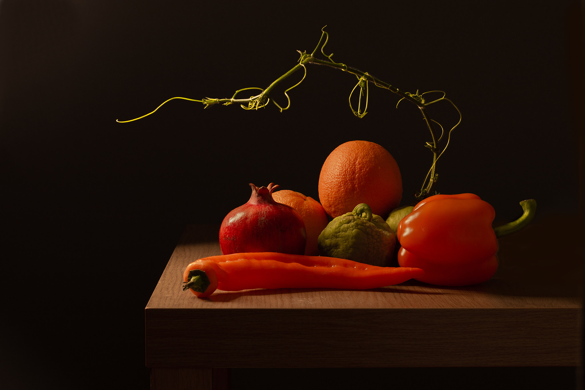 fruits and veggies with a twig by Agnieszka Zawada / 500px