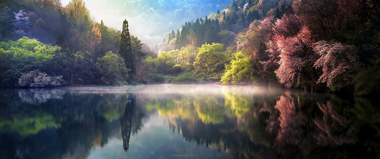 Dream of Spring by Jaewoon U / 500px
