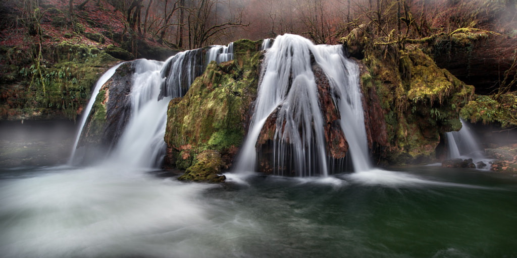 Scenic view of waterfall in undergrowth by Robert Didierjean / 500px