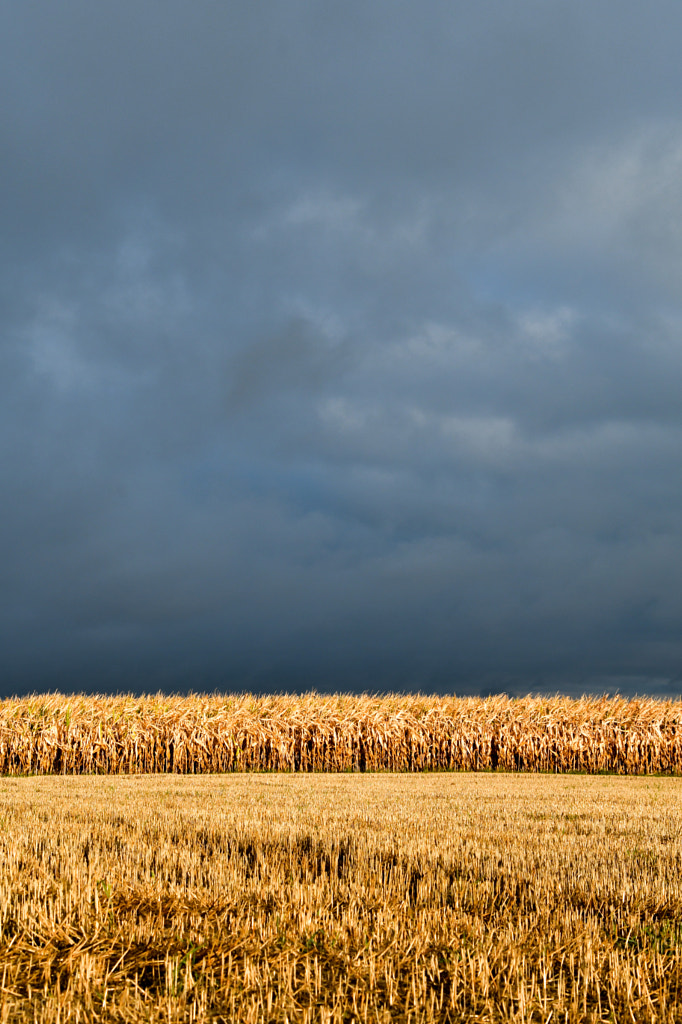 Waiting for rain. by Dan Arler / 500px