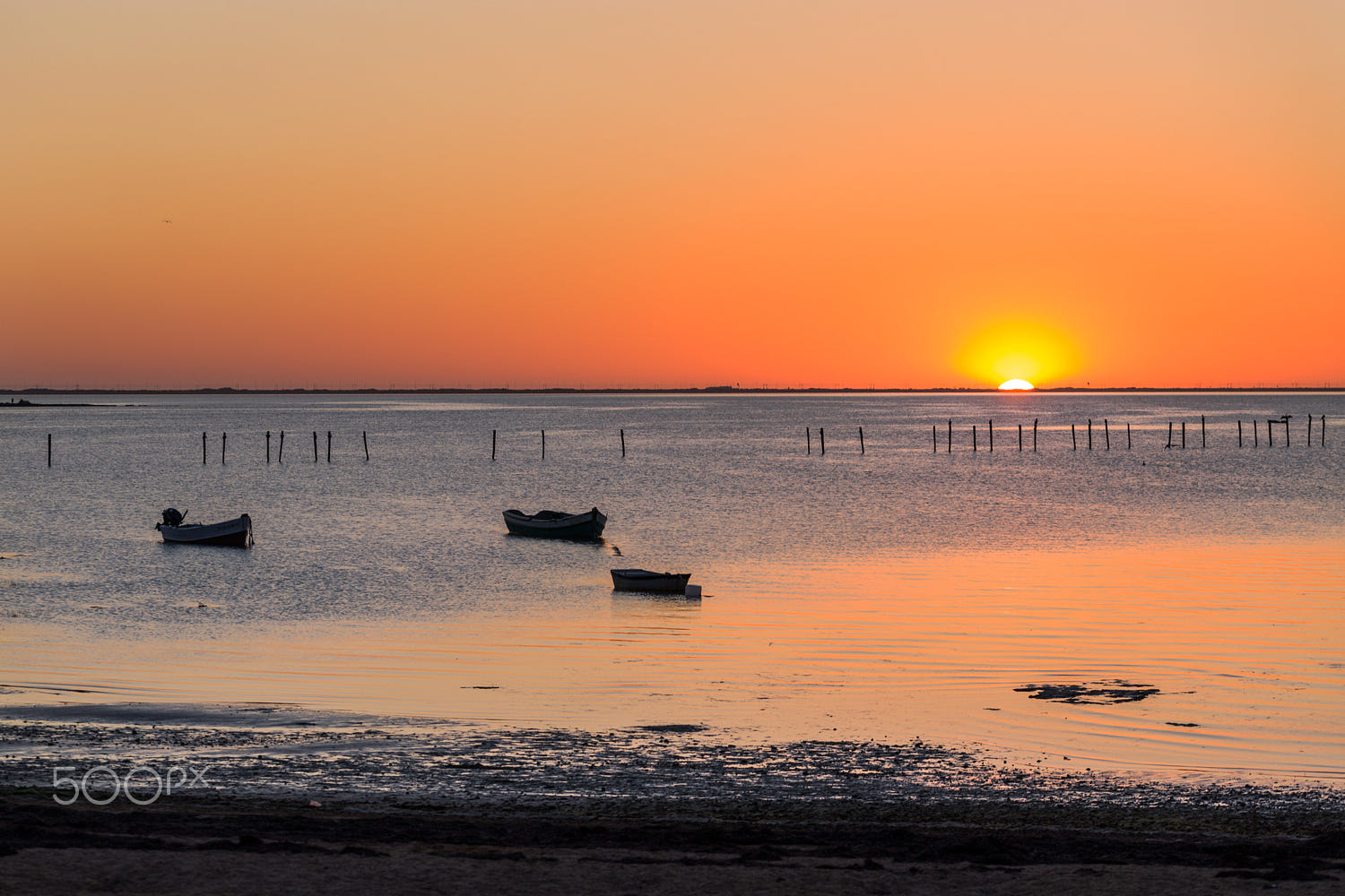 Scenic view of sea against orange sky by Natalie / 500px