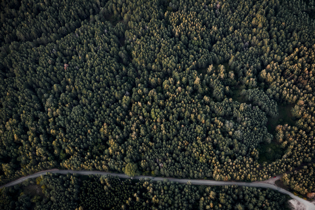 Real is Beautiful by Linas Vaitonis / 500px