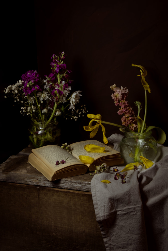 Slow Spring and dead tulips by Francesca Gentile / 500px