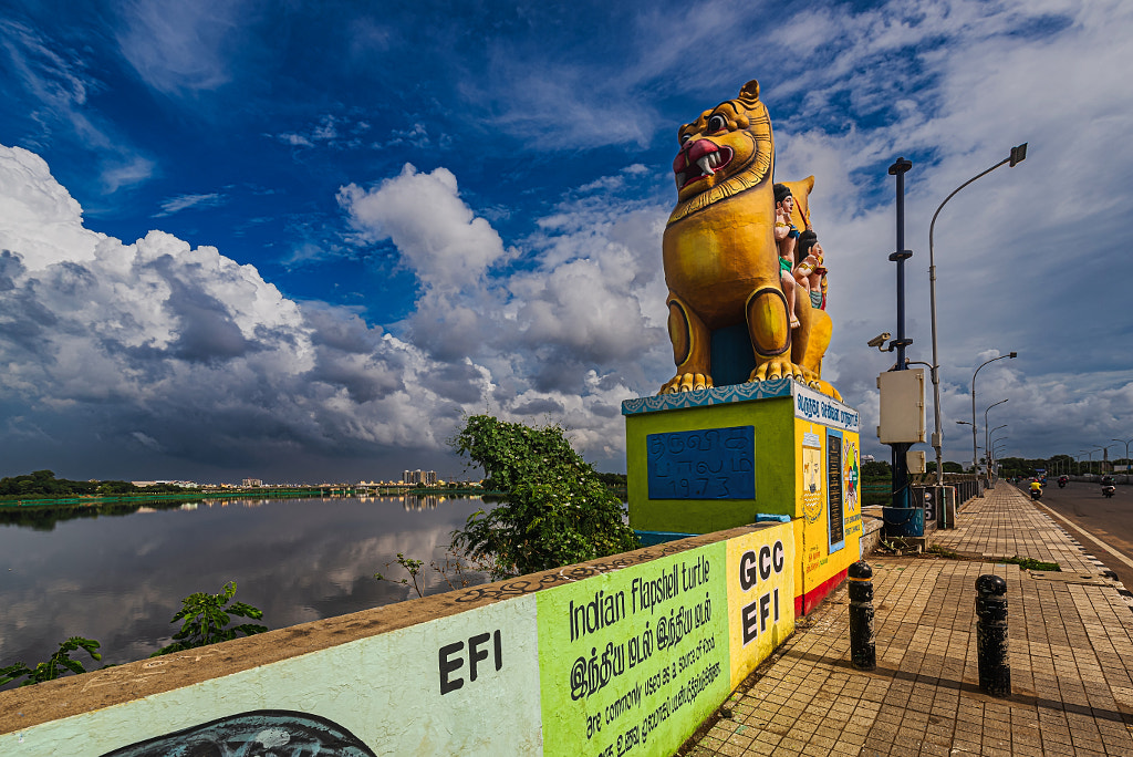 Thiru Vi Ka Bridge... by Ravi S R / 500px