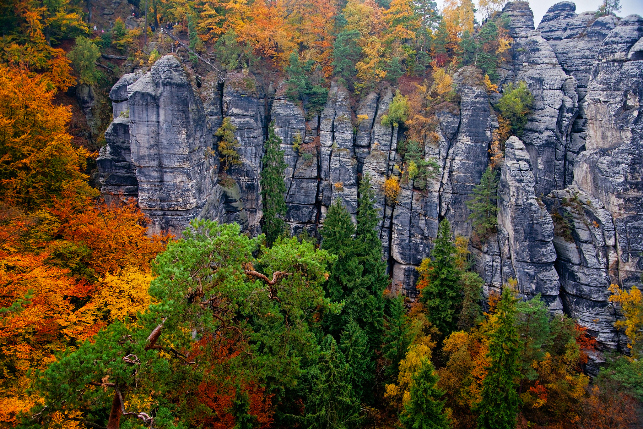 Autumn in Saxon Switzerland National Park, Germany by Sabine Klein / 500px