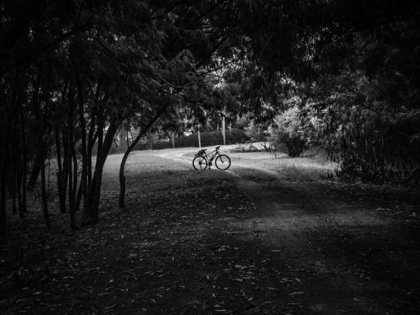 Bicycle on a Dirt Path in a Dark Forest | landscape photo by Marcos ...