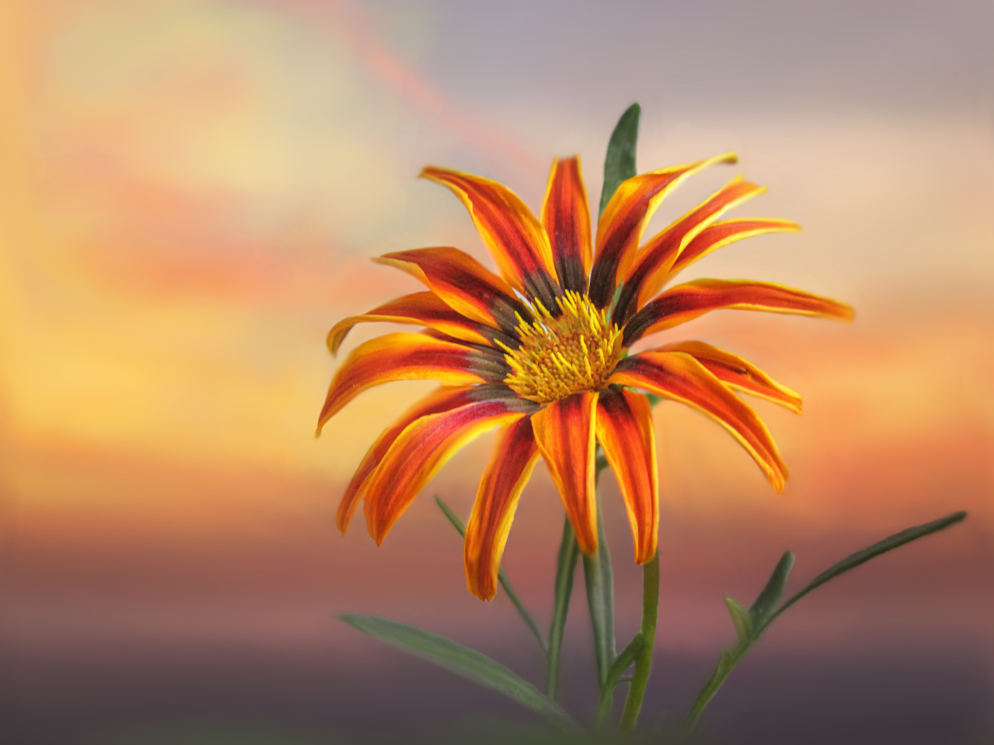 Indian summer by Olga Ostojic / 500px