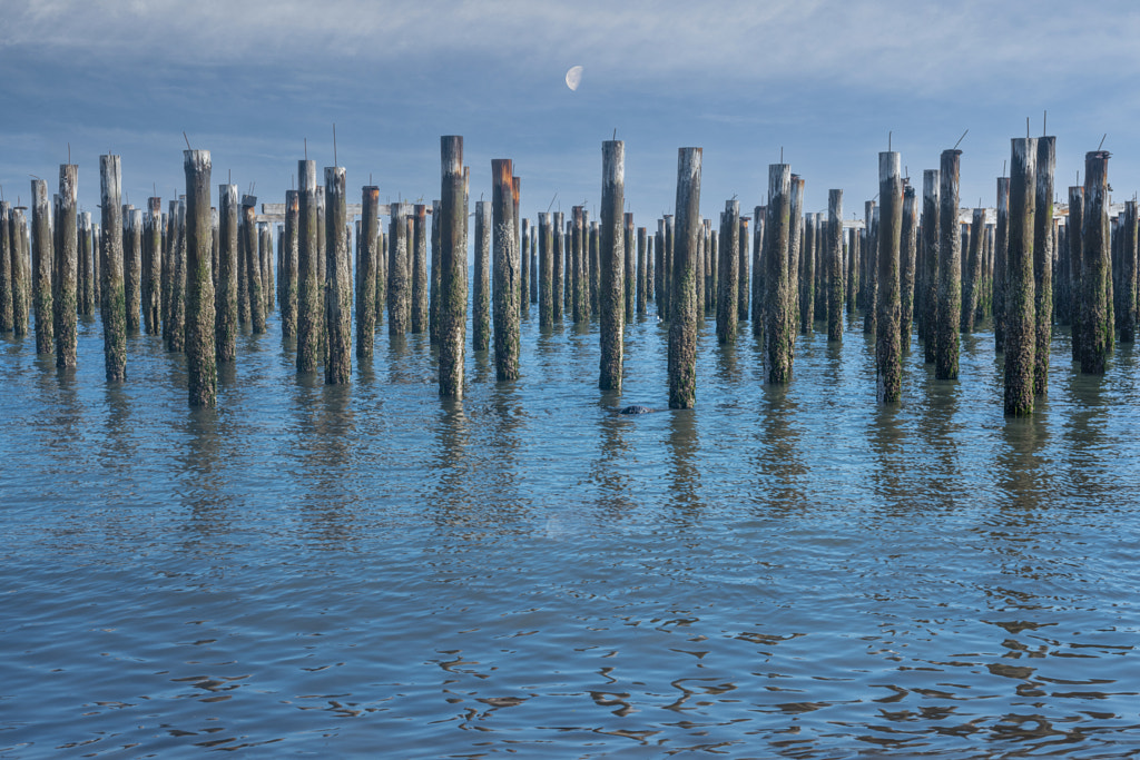Moonlit blues by Louis Ruth / 500px