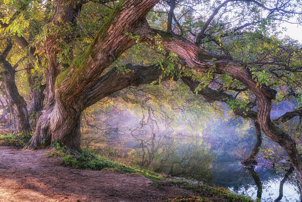 Jaewoon U's Photos & Galleries | 500px