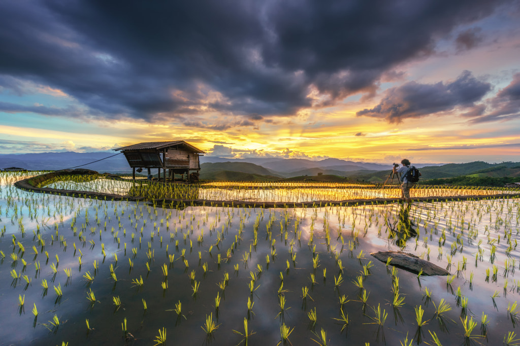 Scenic view of agricultural field against sky during sunset by Sarawut ...