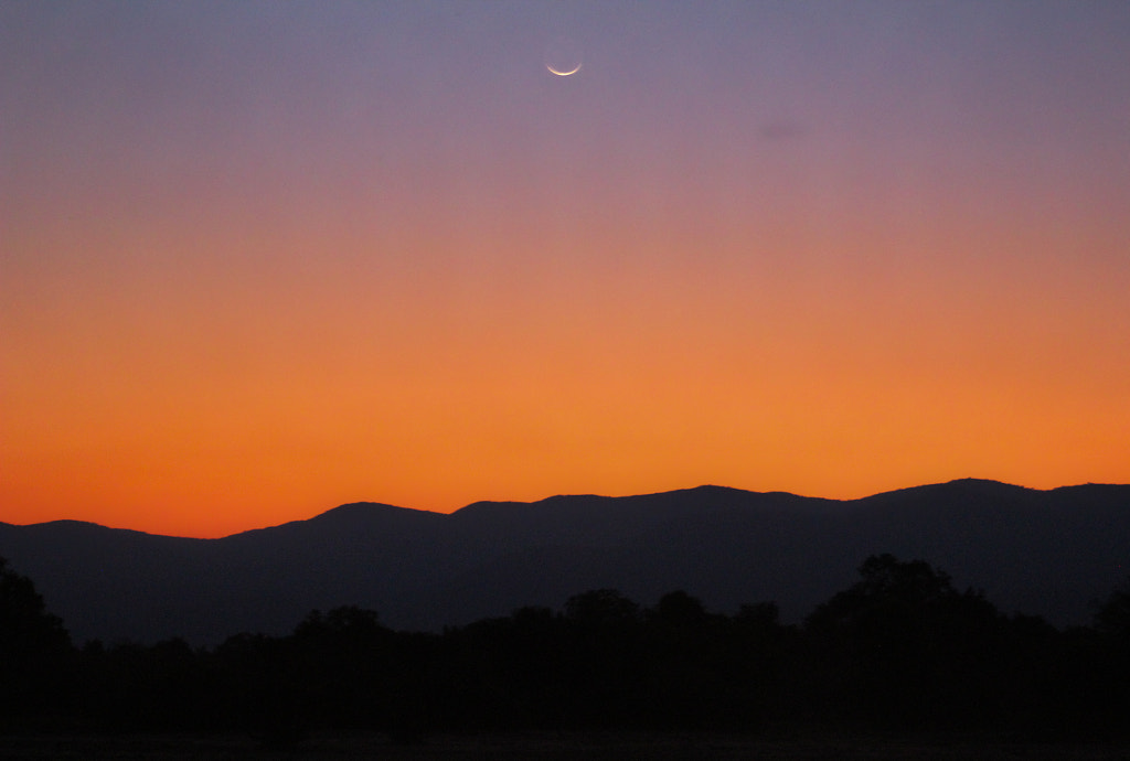 Zambian Sunset with Crescent Moon by Press Wilson / 500px