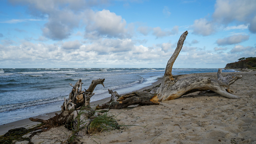Wild Western Beach by Andreas Holm / 500px