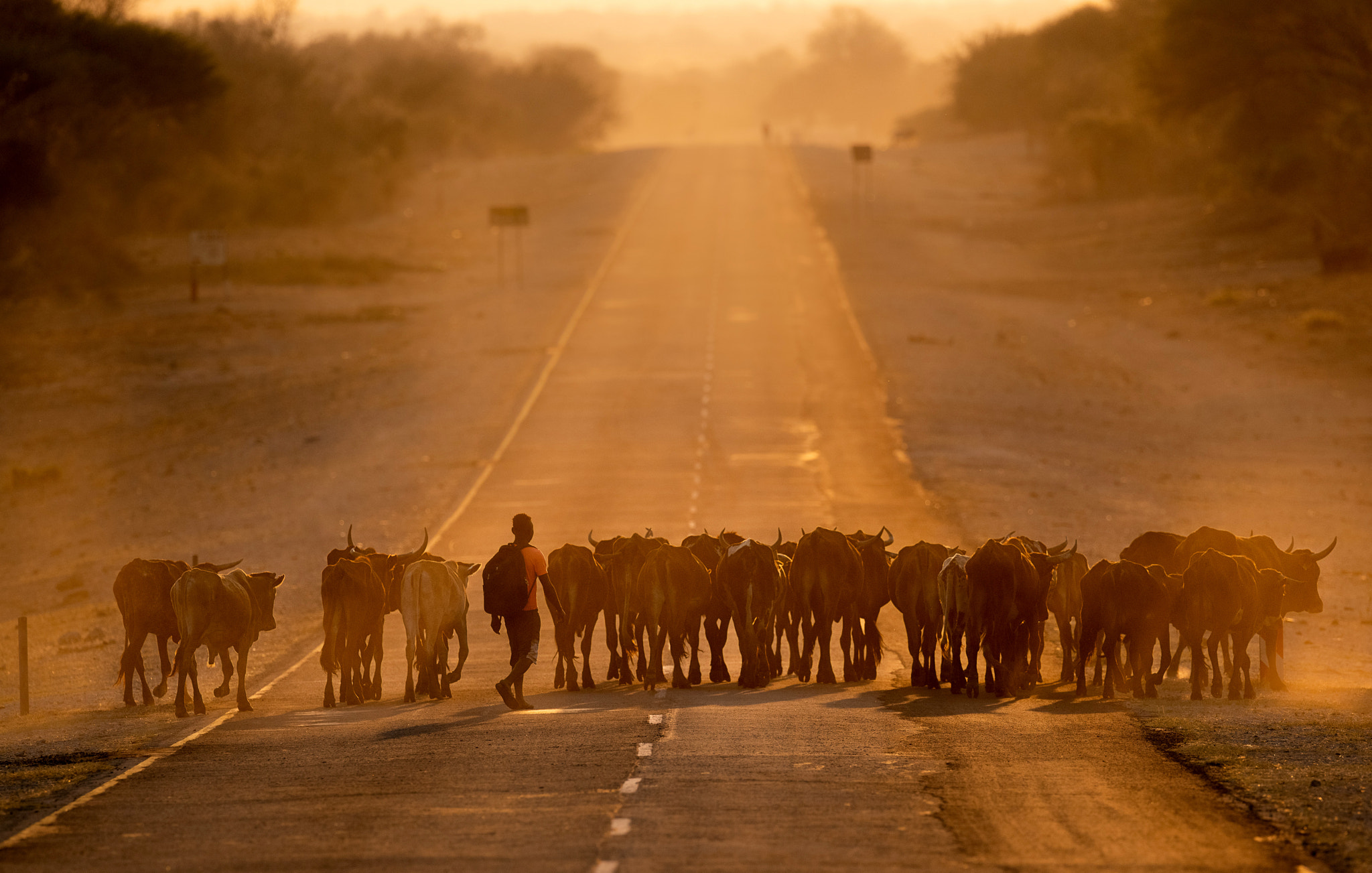 Namibian shepherd II by Andreas Saladin / 500px