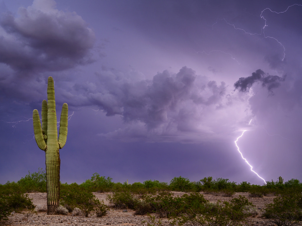 A Desert Stormscape by Fred Walder / 500px