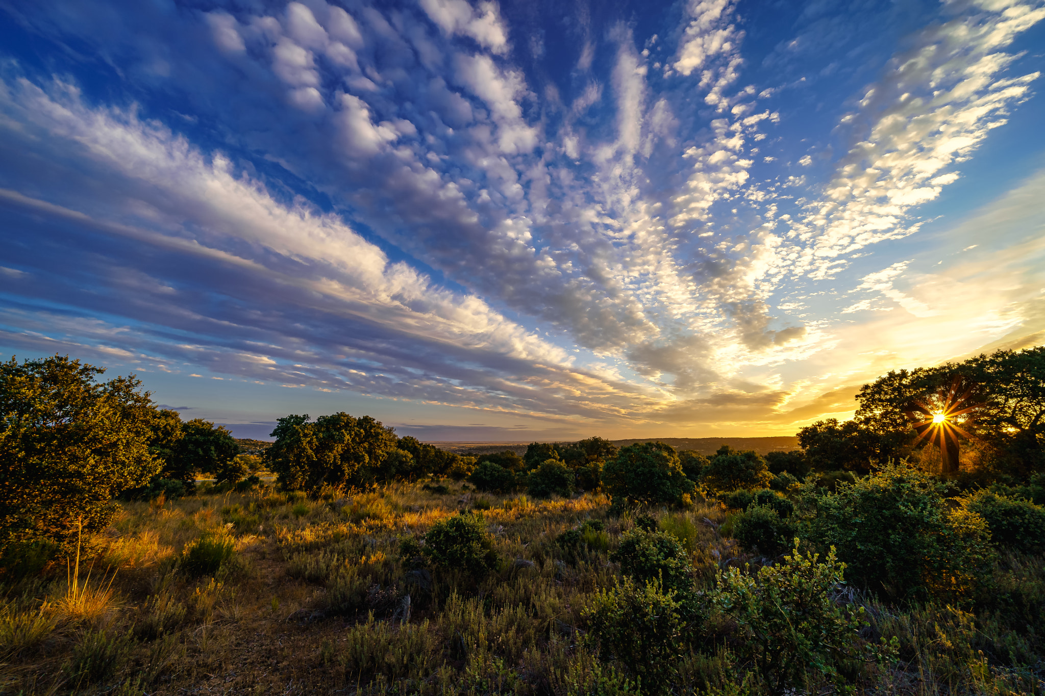 Amazing sunrise in the field. by josemiguelsangar Sanchez / 500px