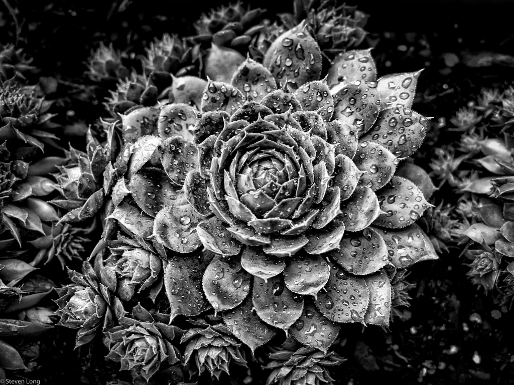 Yet, a Galactic Swirl by Steven Long / 500px