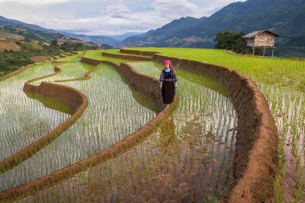 Curves by Hilton Chen / 500px
