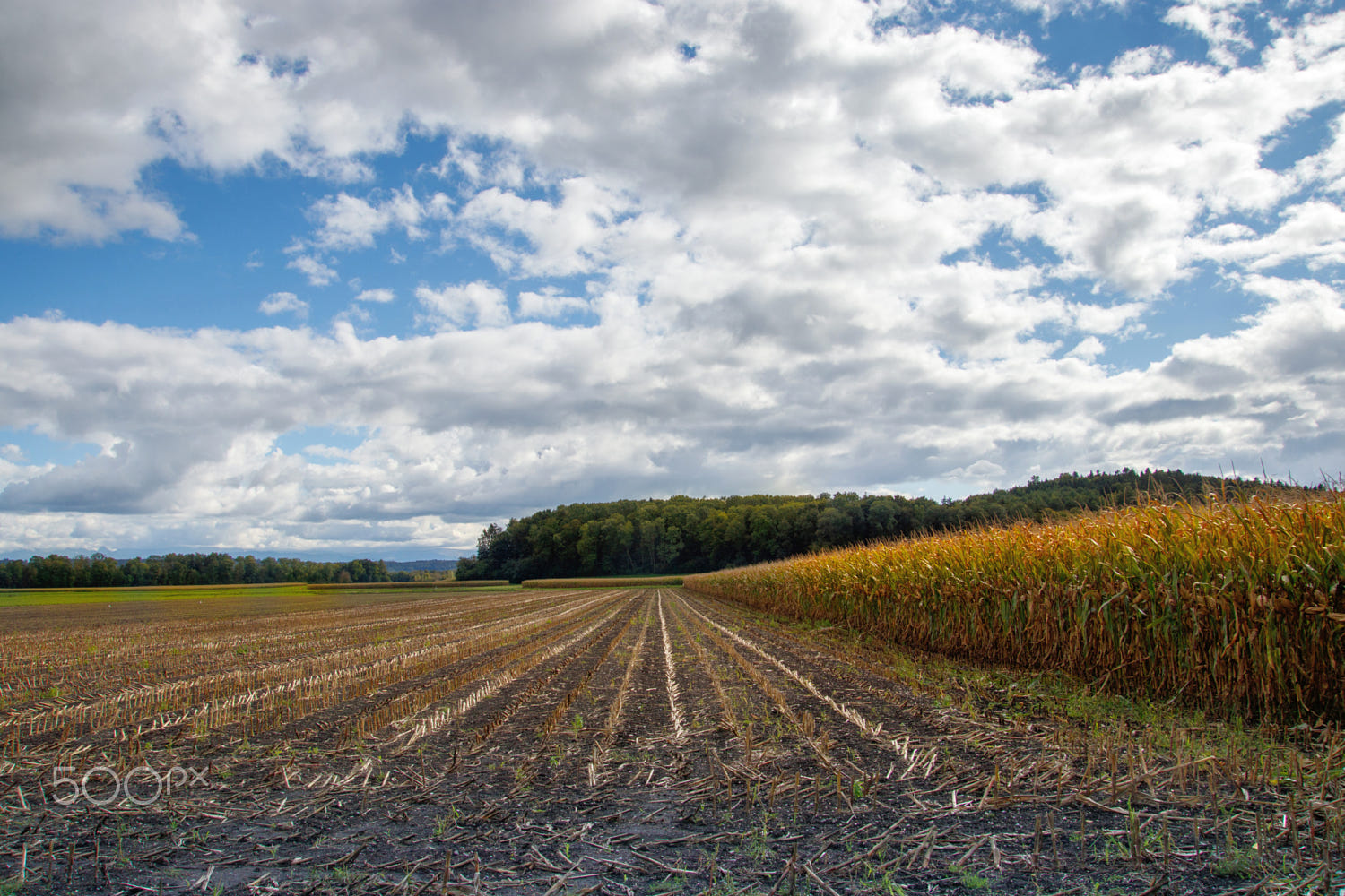 Seeland Landscape by Krigou Christian Schnider / 500px