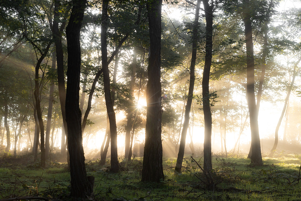 Sunrise by Gezim Fazliu / 500px