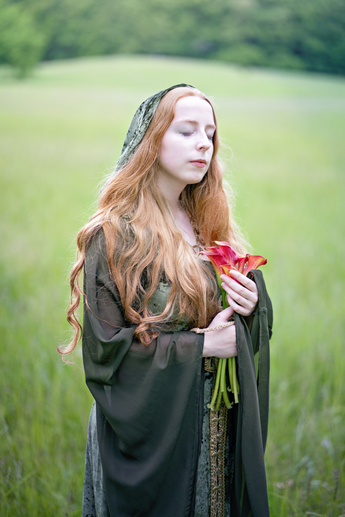 Medieval Fantasy Portrait (Young Woman in Medieval Dress and Crown ...