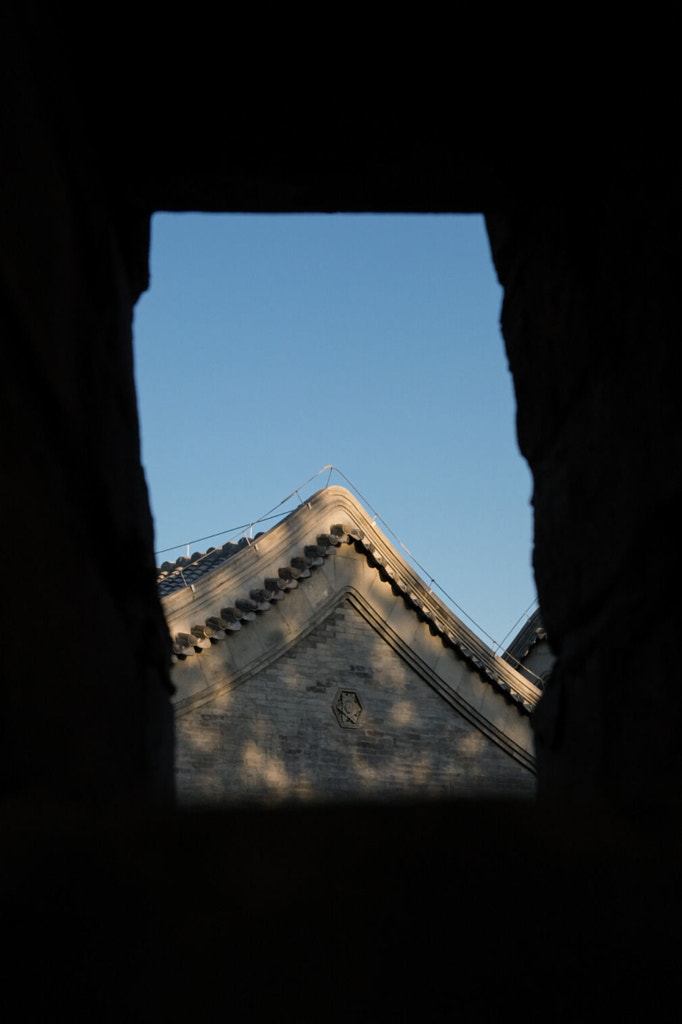 Silhouette by Andrej Filonenko / 500px