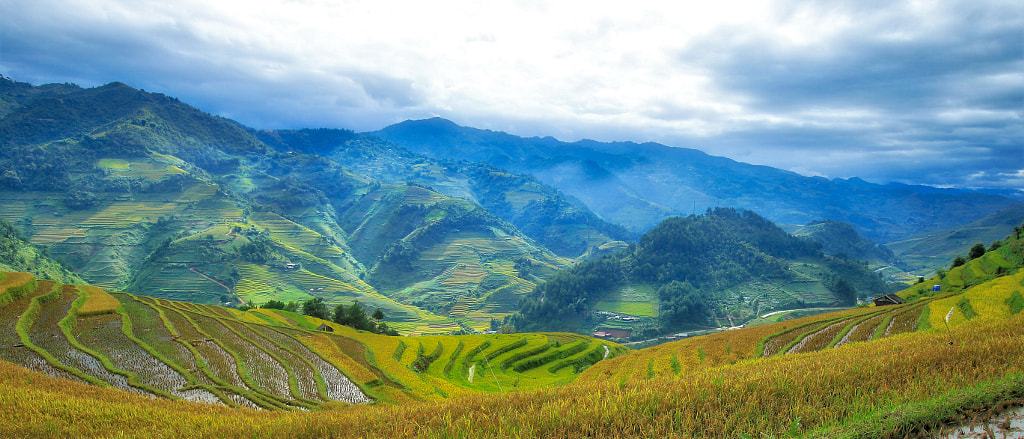 Scenic view of agricultural field against sky by Khoi Tran Duc / 500px