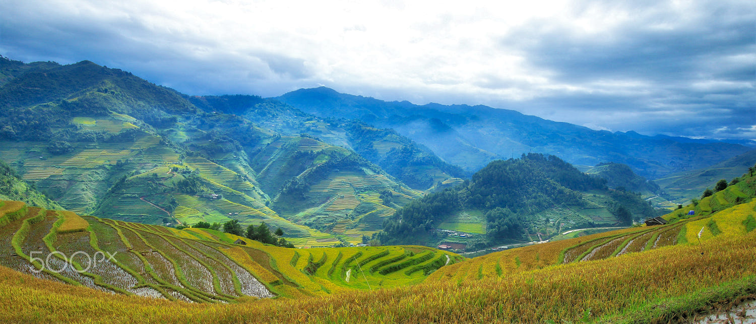 Scenic view of agricultural field against sky by Khoi Tran Duc / 500px