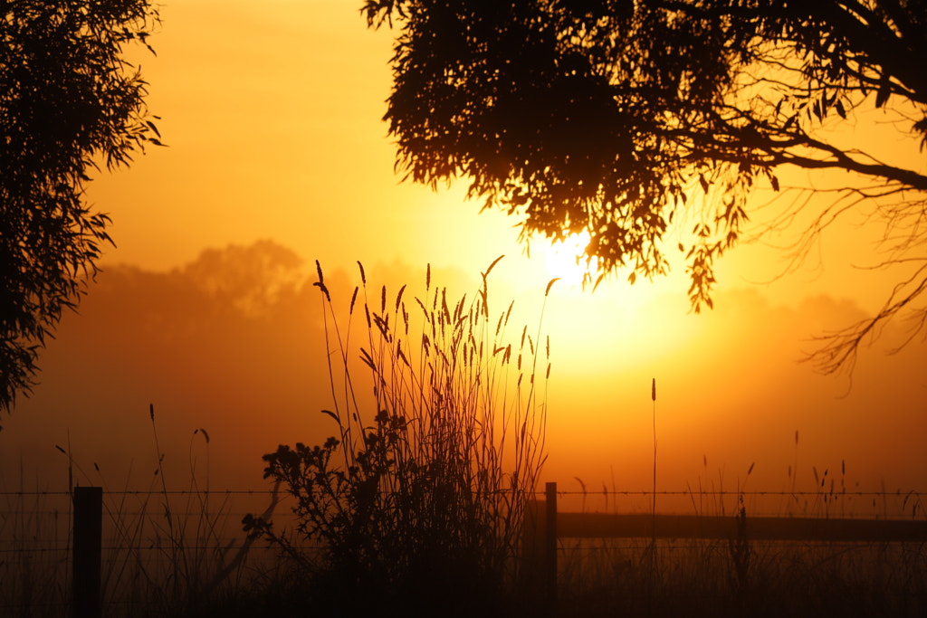 Morning Delight! by Bruce Prothero / 500px