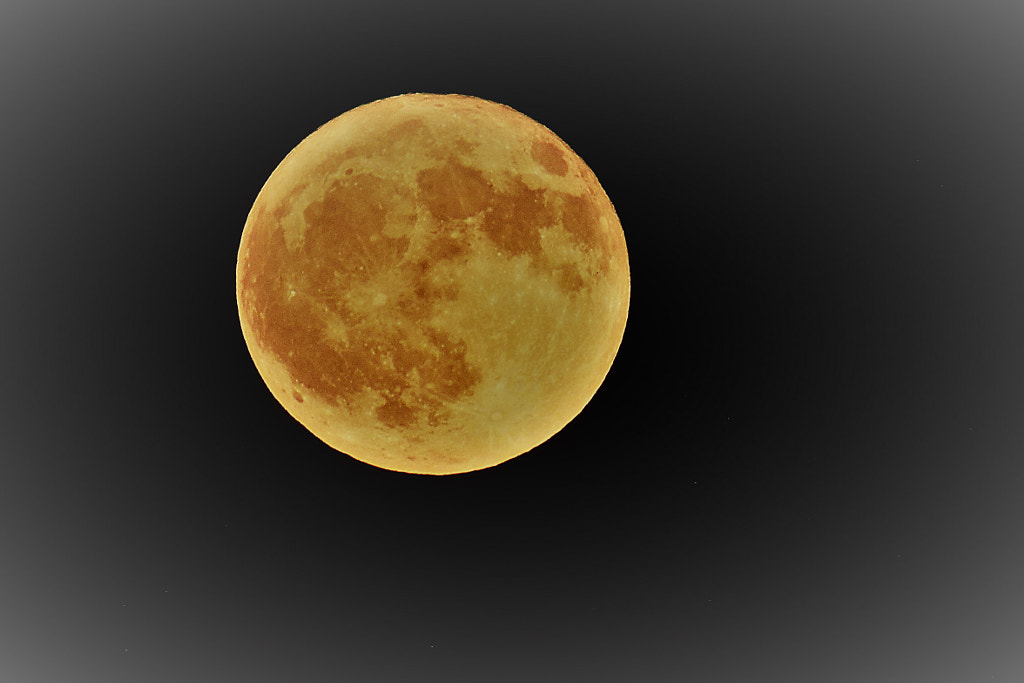 Pumpkin Moon by Kim Barry / 500px