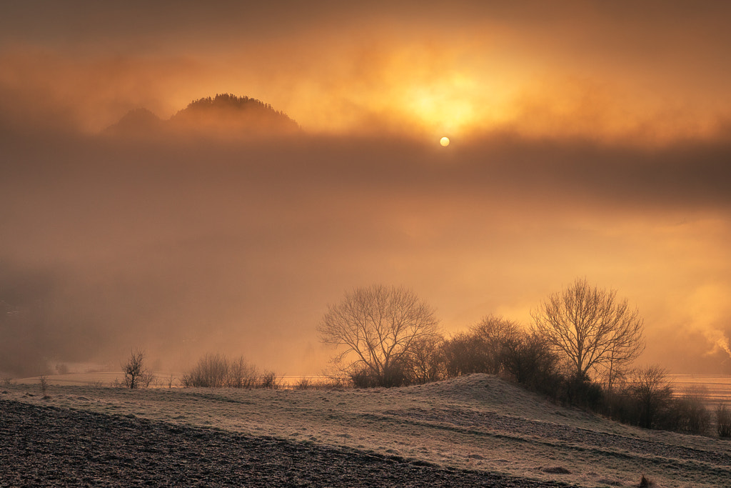 Morning impression by Paweł Uchorczak / 500px