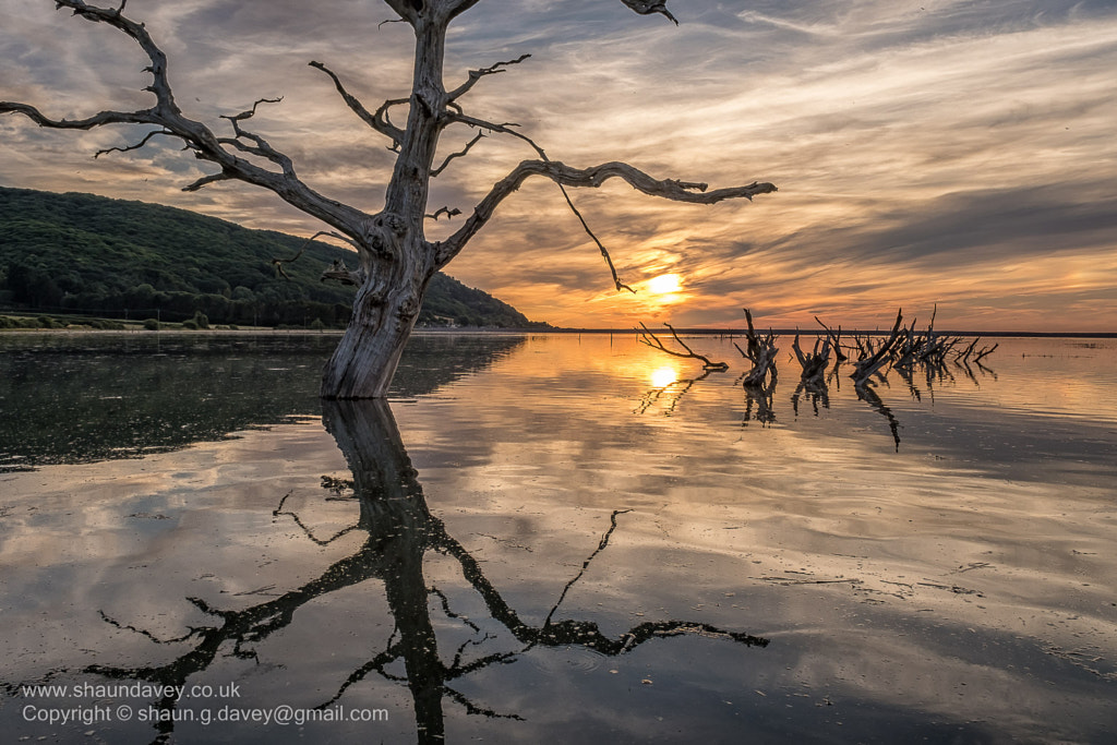 High tide sunset on Porlock Marsh by Shaun Davey / 500px
