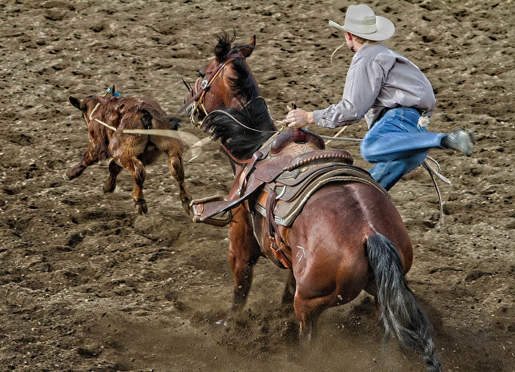Calf Roping Action by David Goodell / 500px