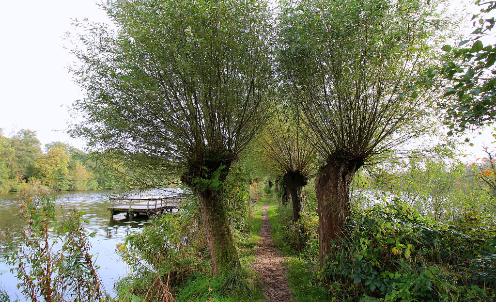 Beginning of autumn by Oomke Wiltjer / 500px